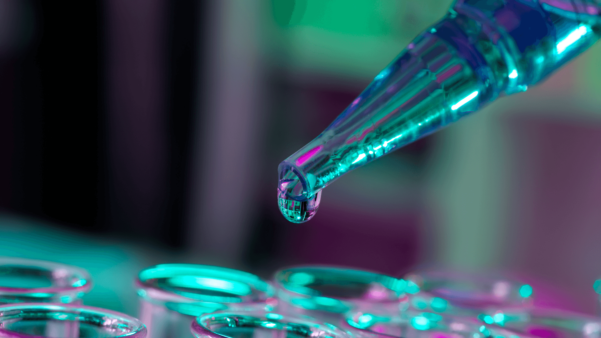 Data Room Examples and Checklists